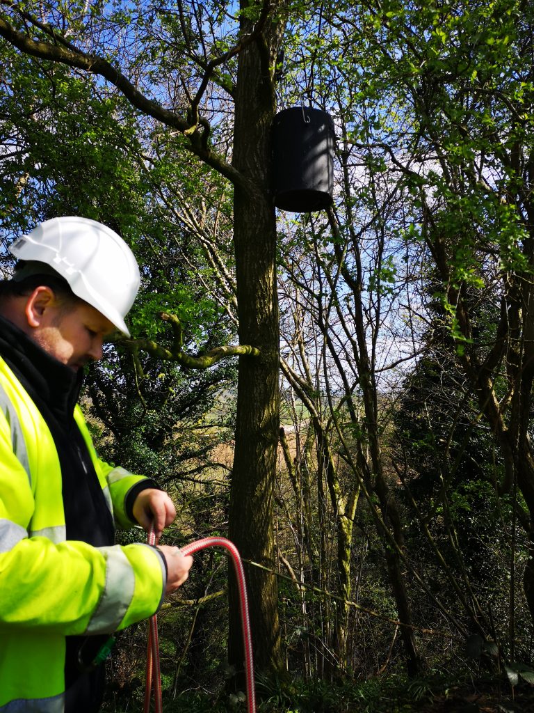The Role of the Bat Survey – Evelyn Ecology